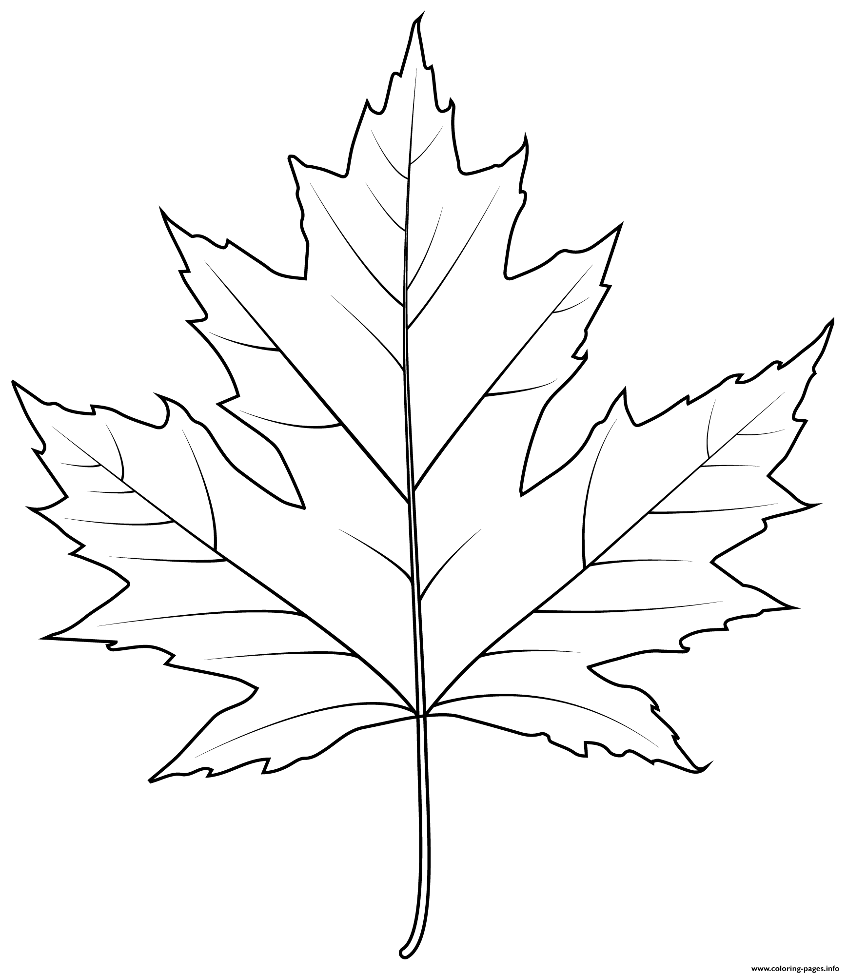 Poplar Coloring Page
