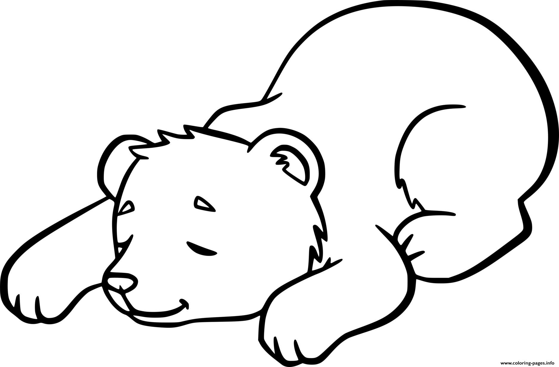 Little Bear Sleeping Coloring Page Printable